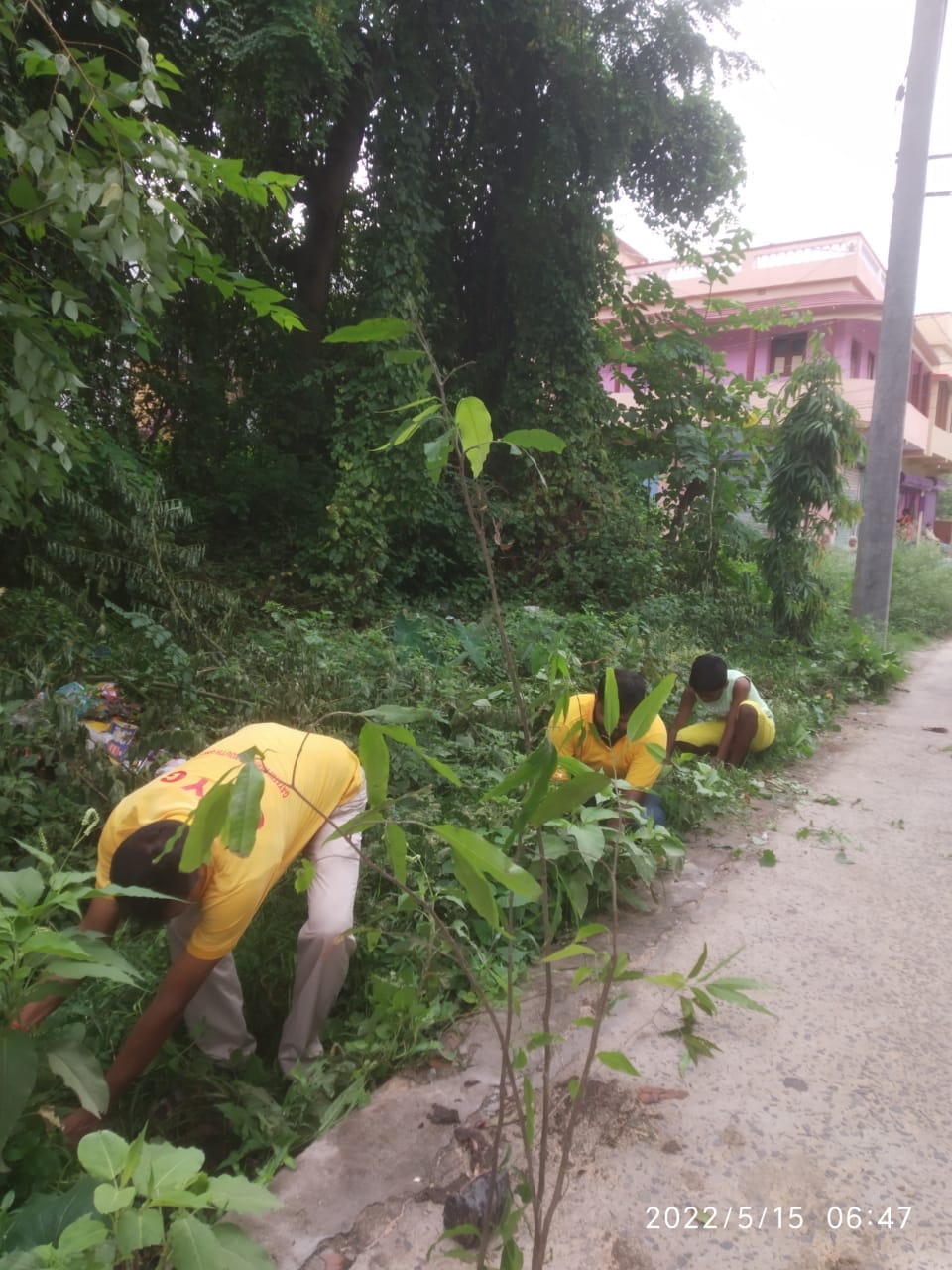 GPYG Kolkata Tree Plantation 602 - GPYG