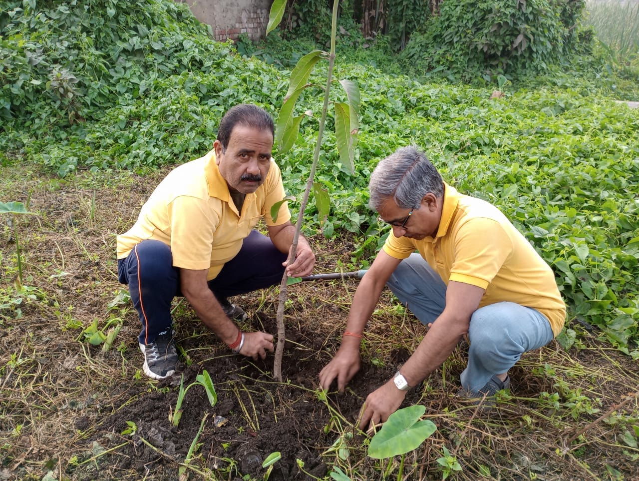 GPYG Kolkata Tree Plantation 641 - GPYG