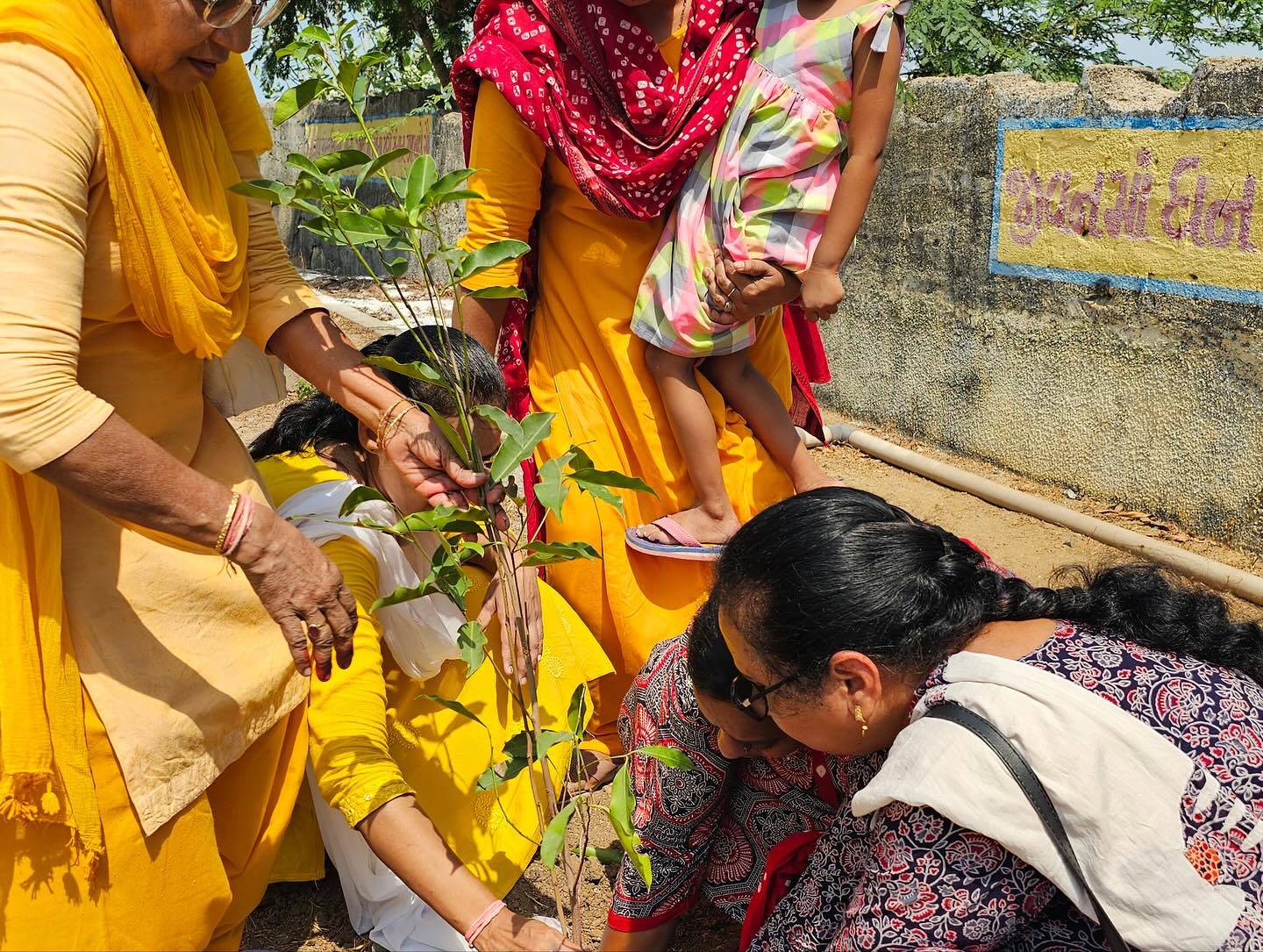 GPYG Kutch Tree Plantation 1 - GPYG