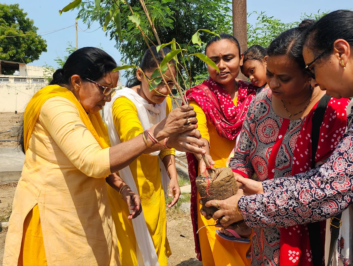 GPYG Kutch Tree Plantation 1 - GPYG