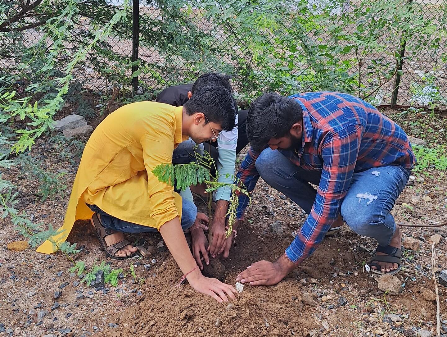 GPYG Kutch Tree Plantation 7 - GPYG
